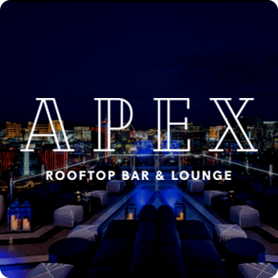 Las Vegas VIP Services
